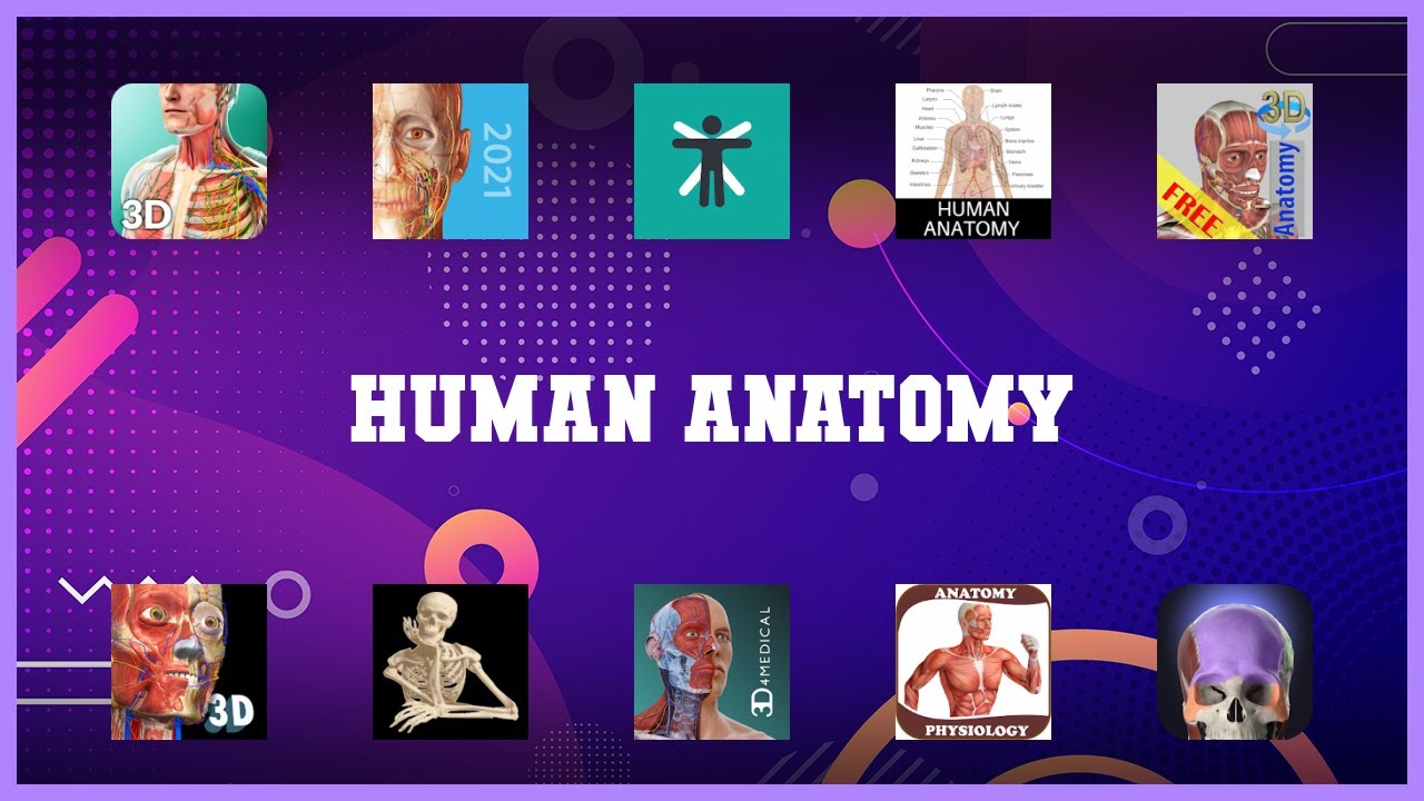 Top 10 Human Anatomy Android Apps