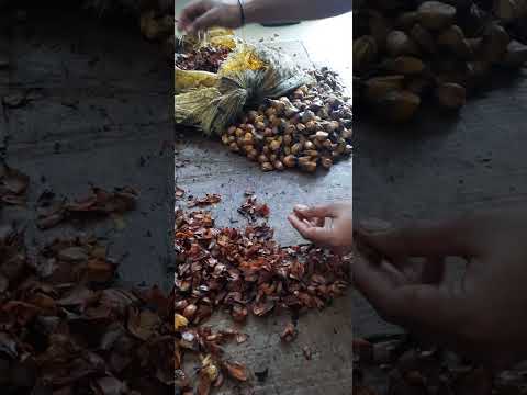 PROSES MATRIAL BALANCE DI PABRIK KELAPA SAWIT