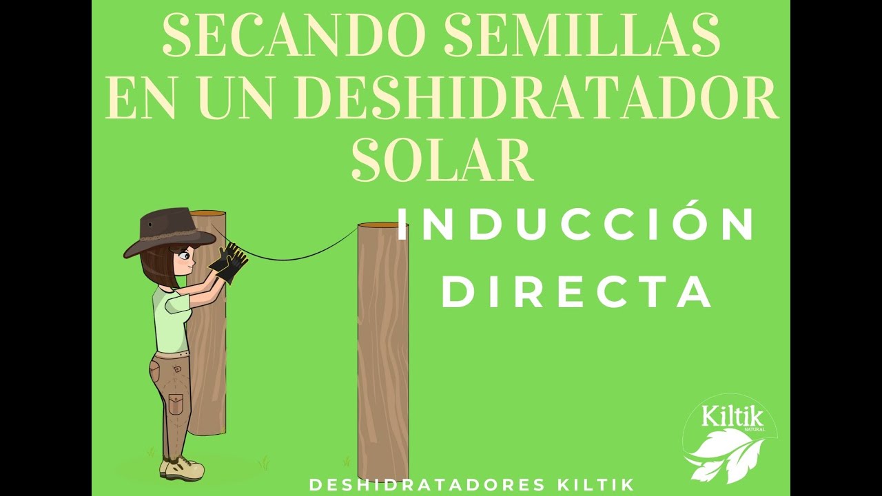 Uso deshidratador secado de semillas