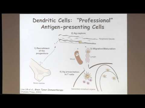 "Seeking New Understanding: Novel Approaches to Brain Tumor Therapy"