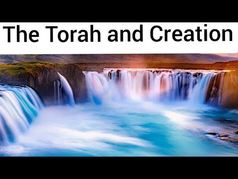 The Torah and Creation (Hasidic Secret)