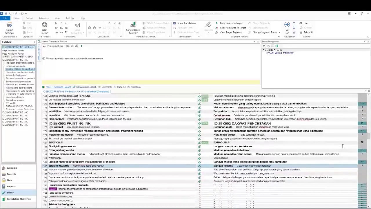 Malay Translation Services VEQTA