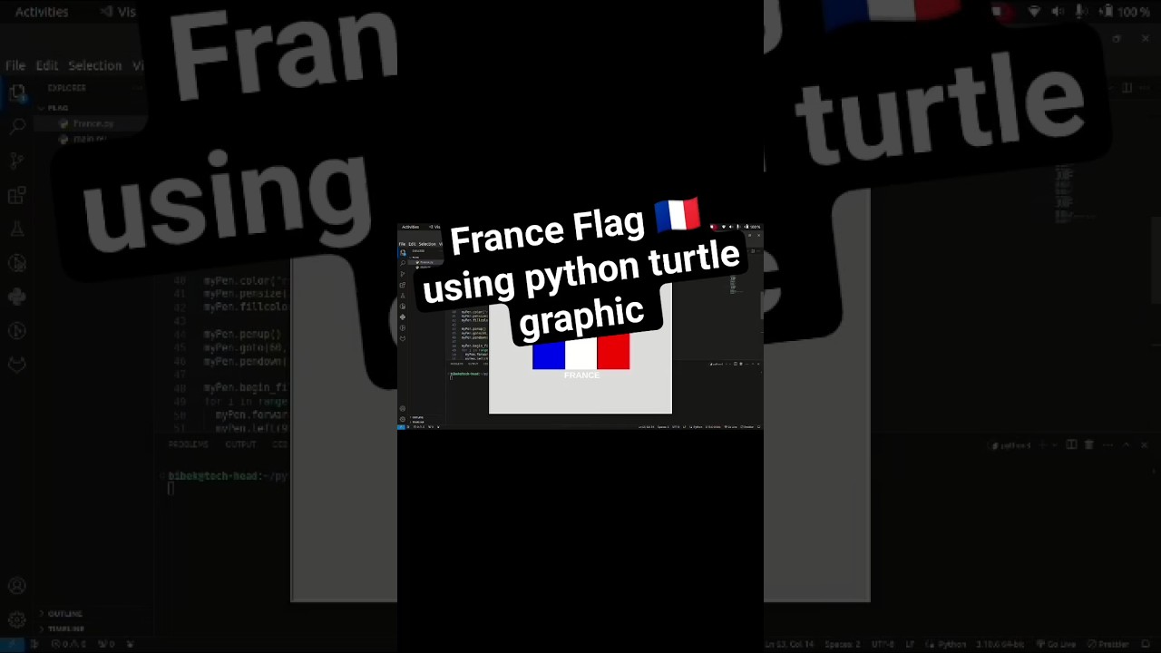 France Flag using python turtle graphic 🐢 #shorts #python #france