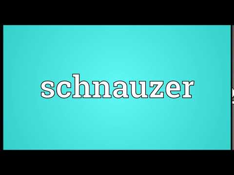 Schnauzer Meaning | Wordogram