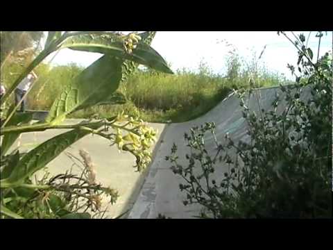 JP Session