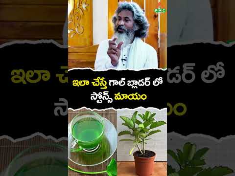 best medicine for gall bladder stones | PMC Health