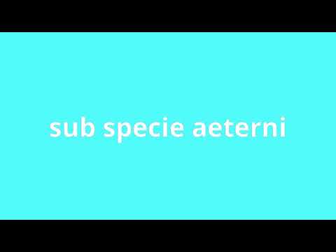 what is the meaning of sub specie aeterni