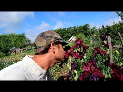Harvesting the Smells of Permaculture – Sustainable Living | Hardcore ...