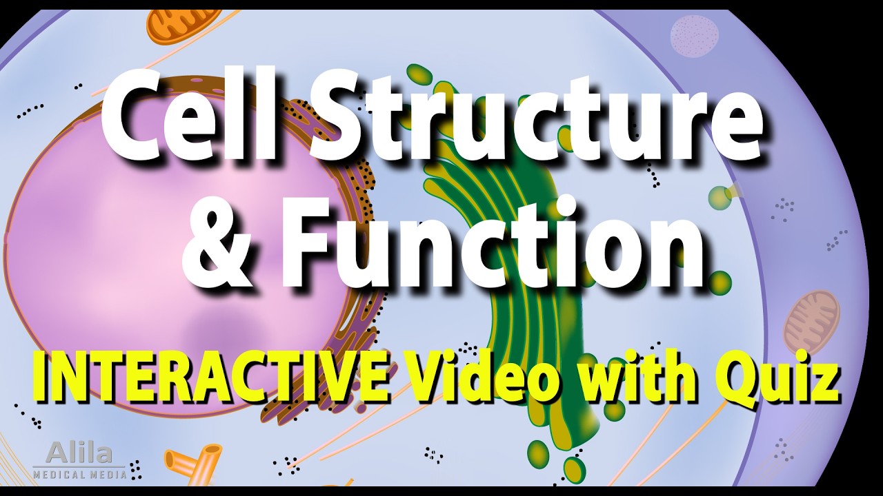 NEW: INTERACTIVE Animation with Quiz: Cell Structure and Functions