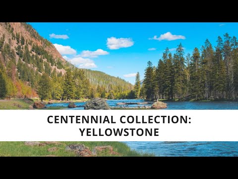 Introduction to Yellowstone - Centennial Collection