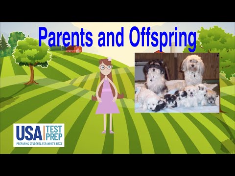 Parents and Offspring