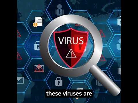 What is a Computer Virus?