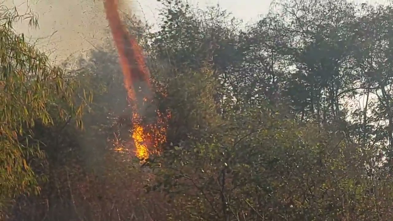 Breaking Korba :ट्रांसफार्मर हुआ ब्लास्ट.. खरमोरा बांस बाड़ी में लगी आग,देखें