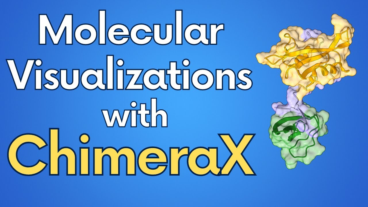How to create beautiful molecular visualizations with ChimeraX - a beginner's guide