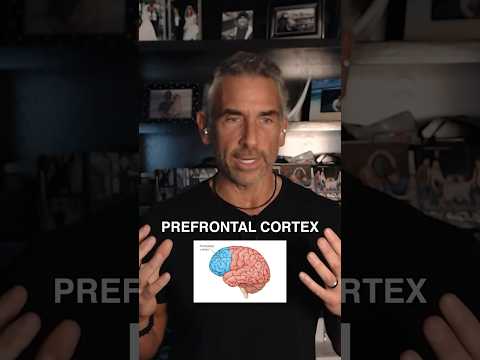 The prefrontal cortex - the secret to human dominance on 🌎? #podcast #brain #UnpolishedGems