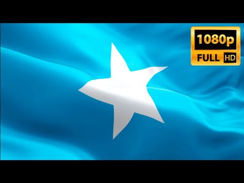 Somalia flag closeup 1080p Full HD 1920X1080 footage video waving in wind. Somali flag H