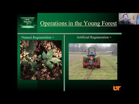 Silvicultural Principles - Part 1 (Forest Establishment)