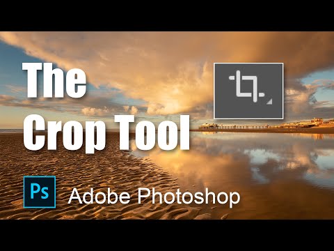 How to Crop Photos using the Photoshop Crop Tool