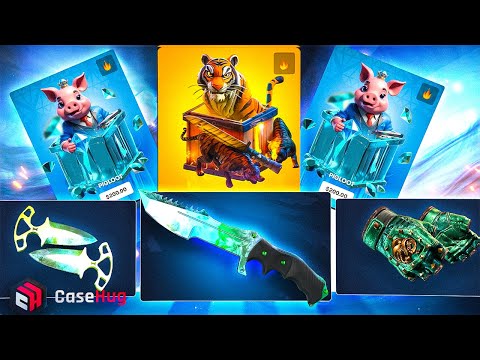 CASEHUG THIS CASES MADE ME RICH! HUGE PROFIT?! (CaseHug Promo Code 2025)