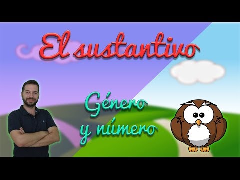 ¿Sabes decirme el género y número de los nombres? – El blog de primero.