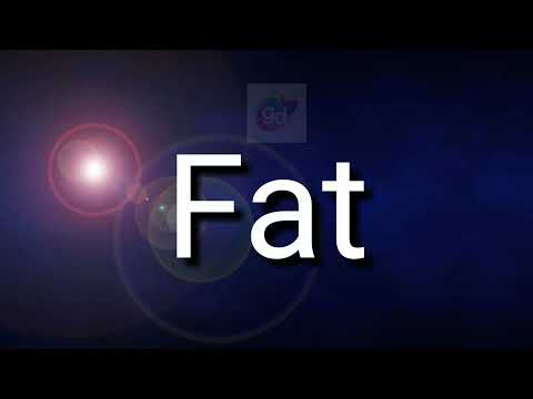 Fat Antonym with meaning//Googul Dictionary//