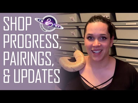 Ball Python Shop Progress, Pairings, and Updates