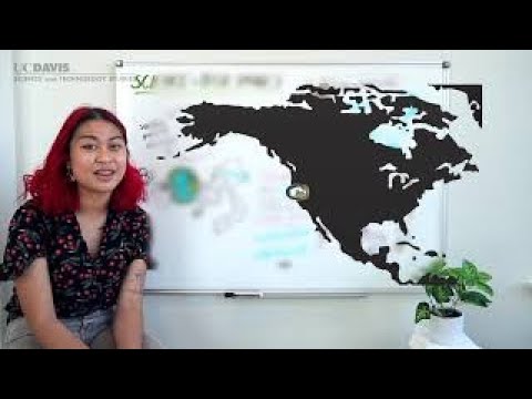 STS Crash Course