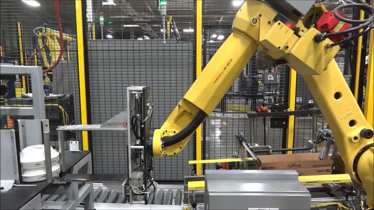 Robotic Case Packing Compilation | Remtec Automation