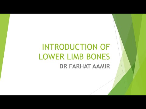 Introduction of Lower Limb ppt