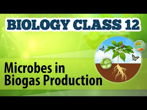 Microbes in Production of Biogas Video Lecture - NEET