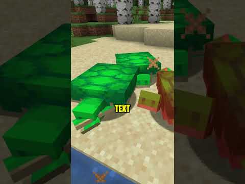 GTA AND MINECRAFT SECRET CONNECTION REVEALED!
