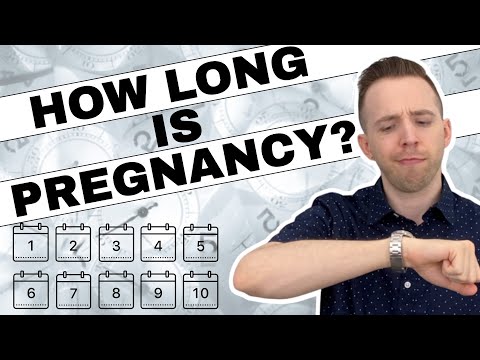 How Many Months In Pregnancy? Duration Of Normal Pregnancy Trimesters (Length Of First Trimester)