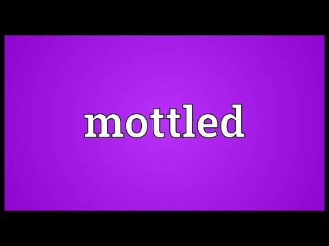 Mottled Meaning