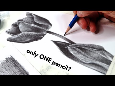 Master Realism Using Only 1 Pencil!