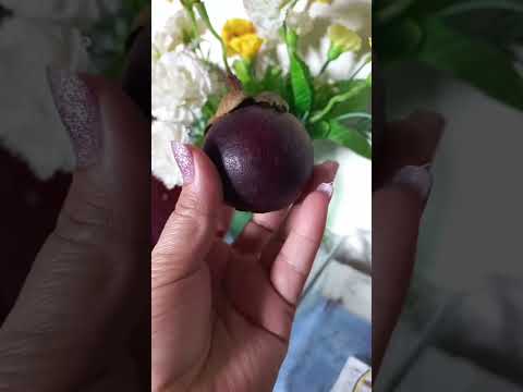 perfecto es Dios un mangostino