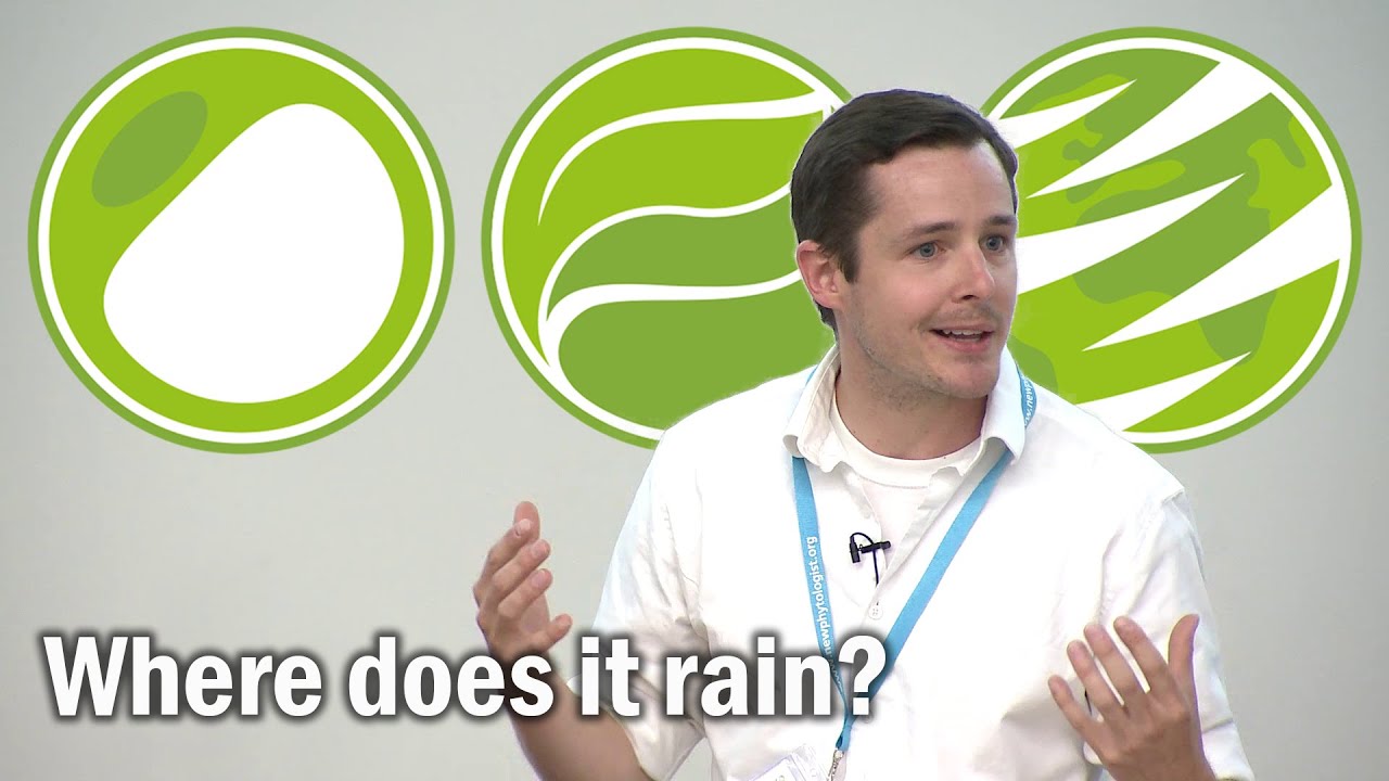 Andrew Felton: Spatiotemporal patterns of Net Primary Productivity and precipitation