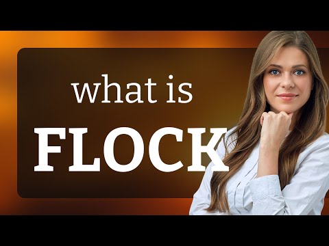 Flock — what is FLOCK meaning