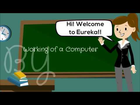 IPO Cycle. How computers work
