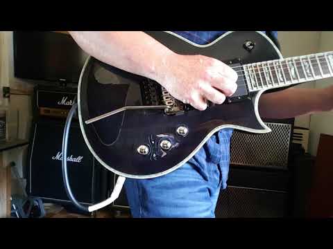 LTD EC1000 Guitar-incredible value for money.