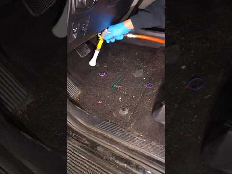 How To Clean Carpet with NO Vacuum! 🚘💕 TOOL: @tornadortools#ASMR #Satisfying #Detailing #DetailDane