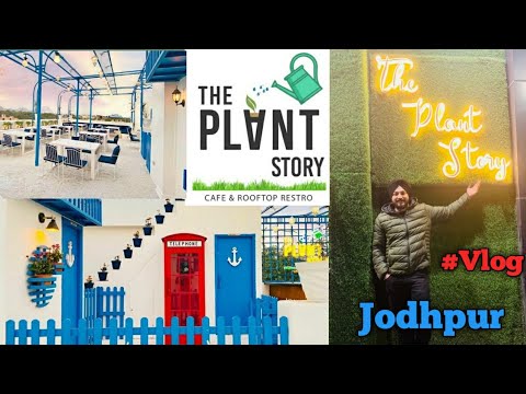 The Plant Story cafe in Jodhpur|Best Rooftop cafe in Jodhpur|Jodhpur #pritvlogs #jodhpur #cafevlog