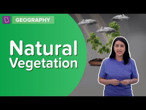 Natural Vegetation | Class 8 - Geography | Learn With BYJU'S