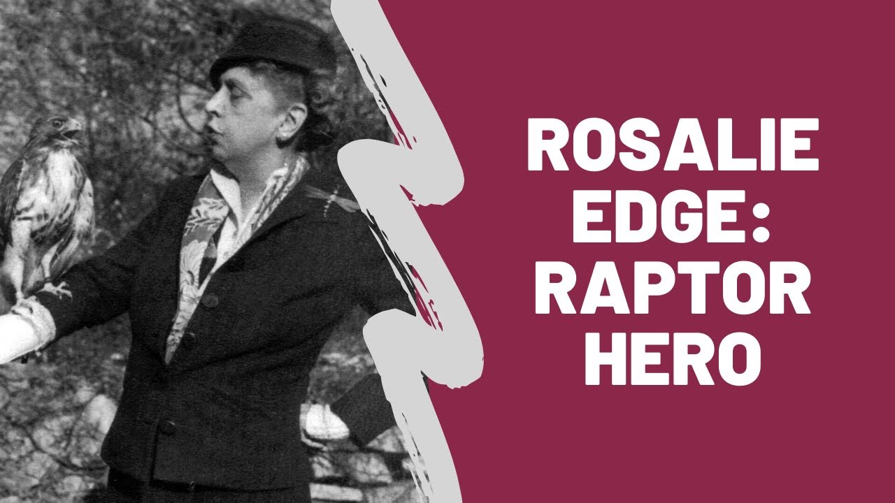 Rosalie Edge: Raptor Hero
