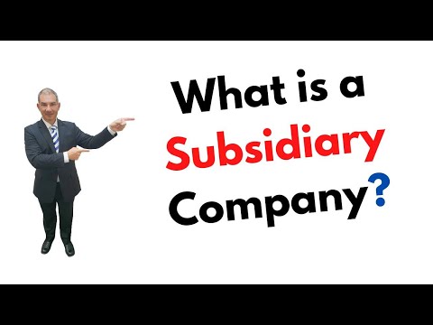 What is a Subsidiary Company?