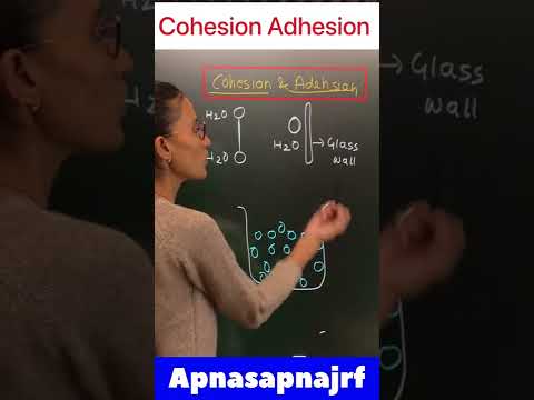 Cohesion and adhesion difference || #apnasapnajrf