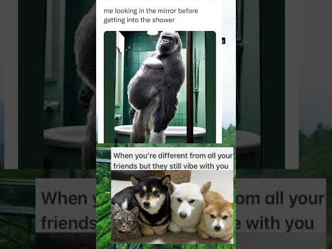 Meme Overload Try Not to Laugh Challenge π #memes #funnyvideos #laughoutloud