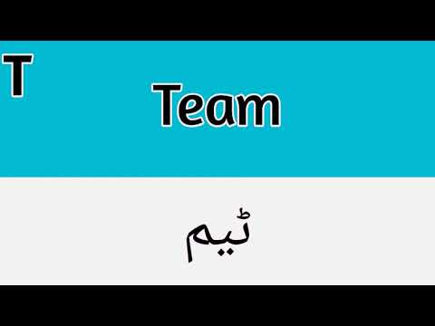 Team Meaning In Urdu