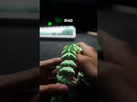 Articulated Dragon