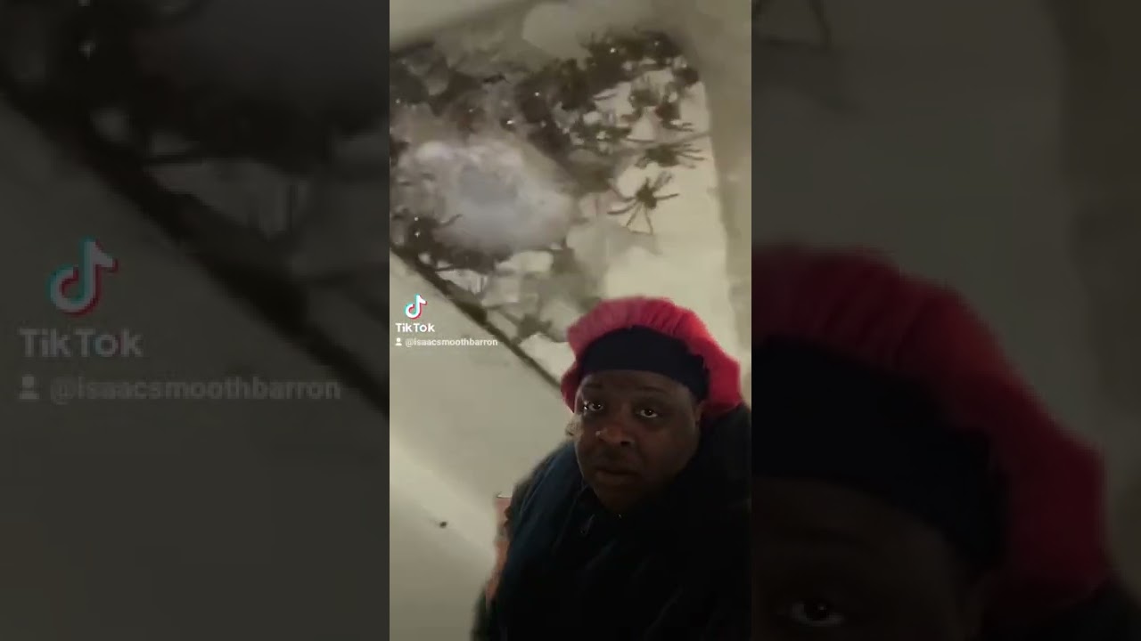 Just a little spider problem  😳 #shorts #thebarrons #spiders #funny