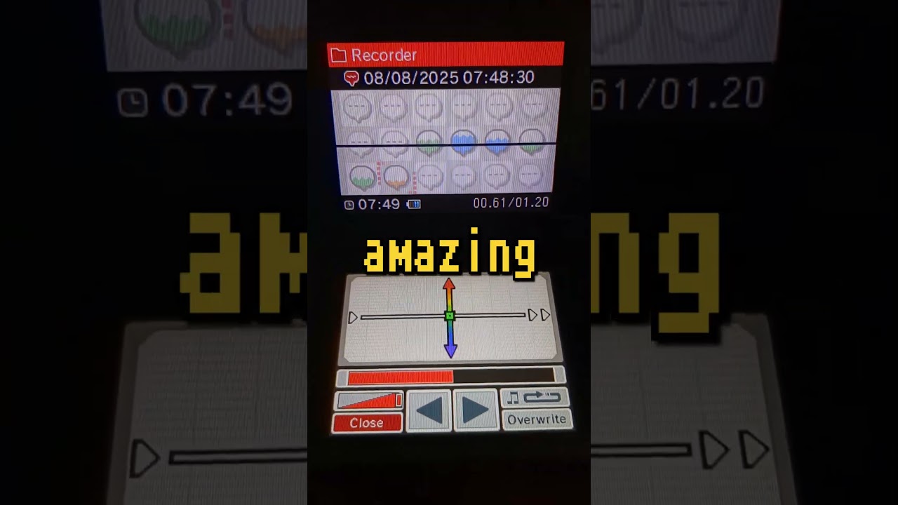 incredible nintendo dsi feature